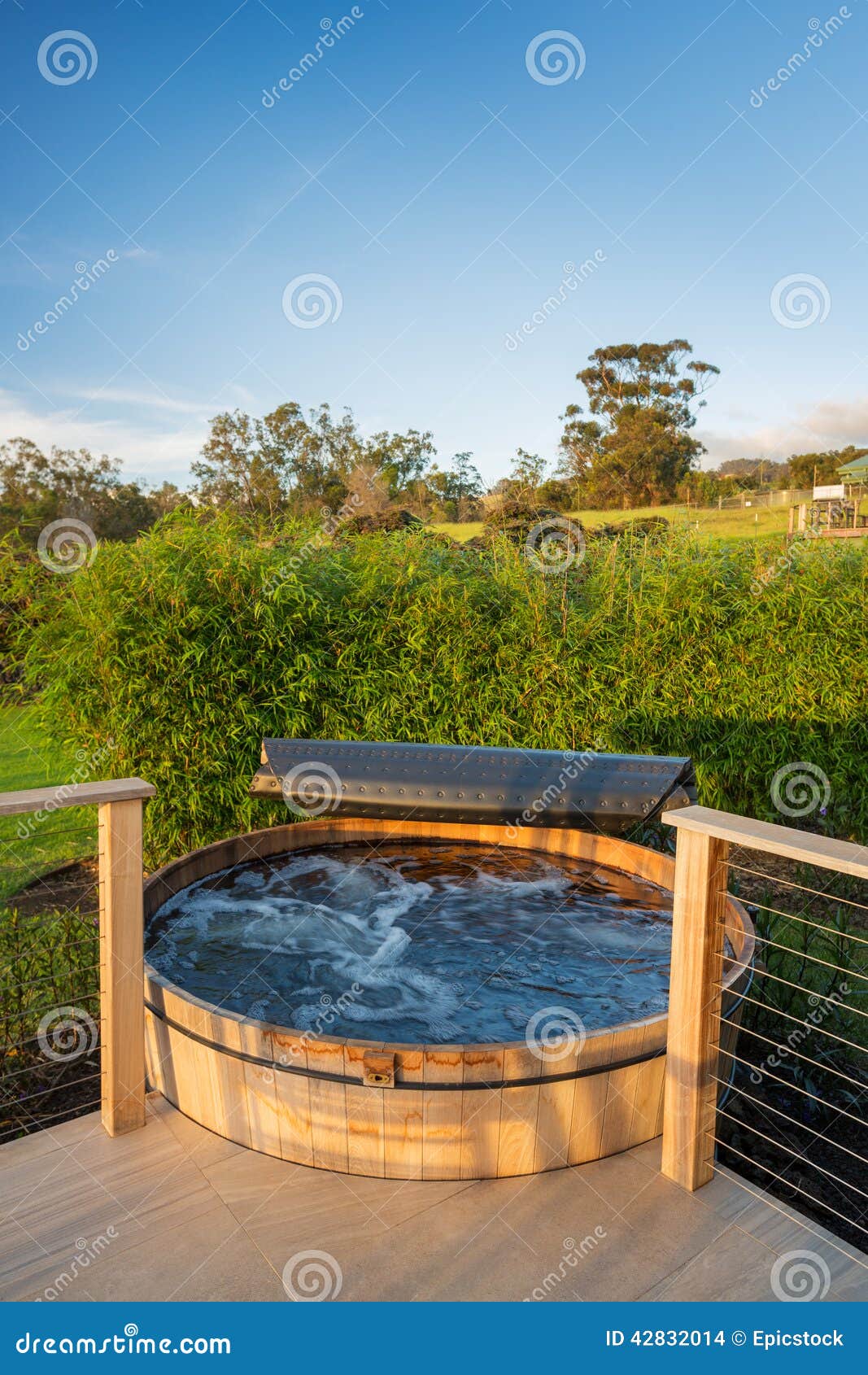 Jacuzzi Da Banheira De Hidromassagem Fora De Uma Casa Moderna Foto de ...
