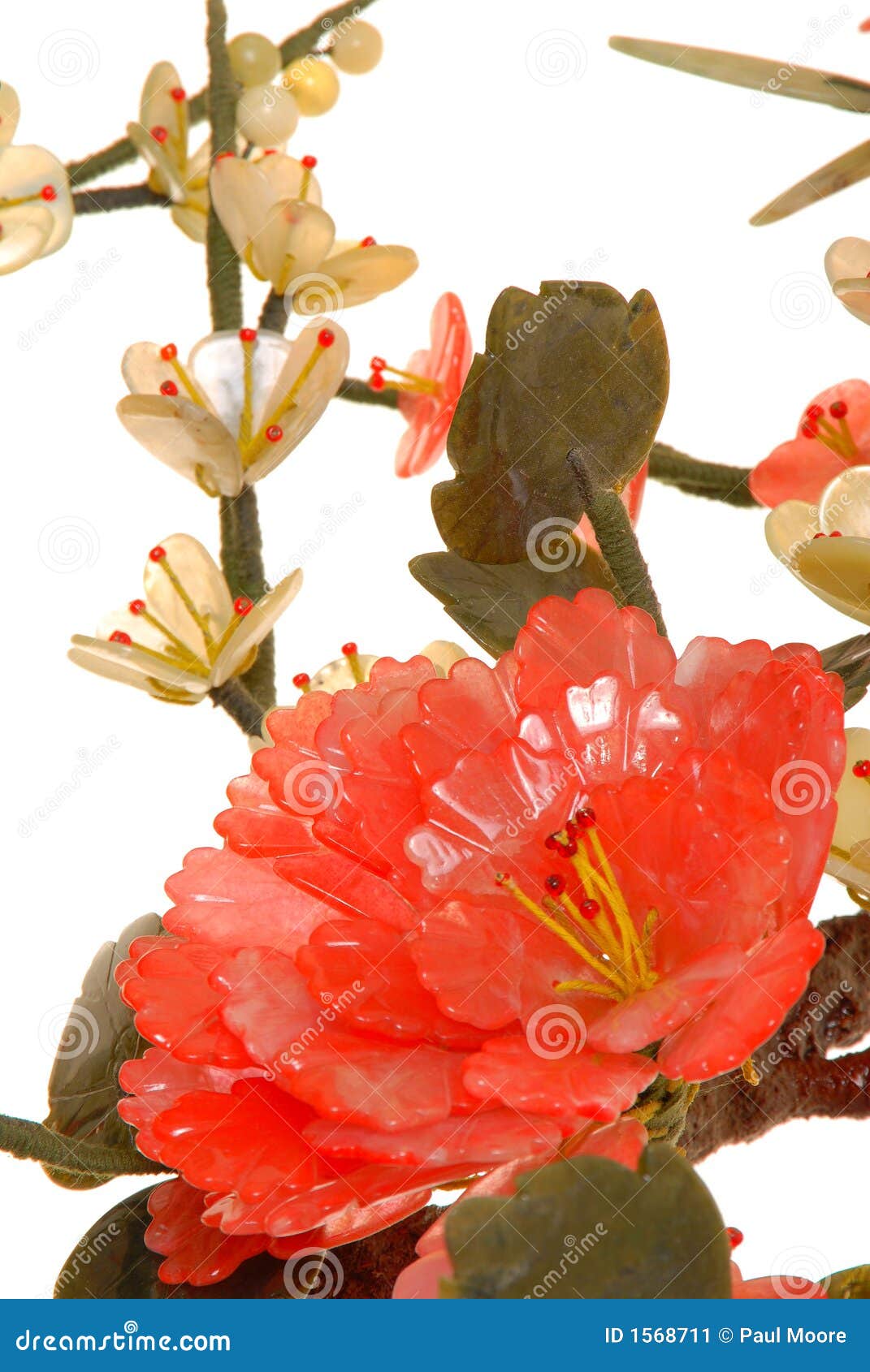 Jade Cherry Blossom 11 stock image. Image of flowers, life - 1568711