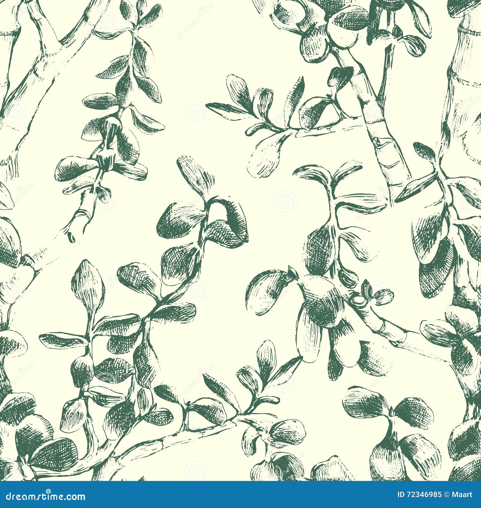 Jade Plant Potted Coloring Pages: Storybook Style Illustration ...