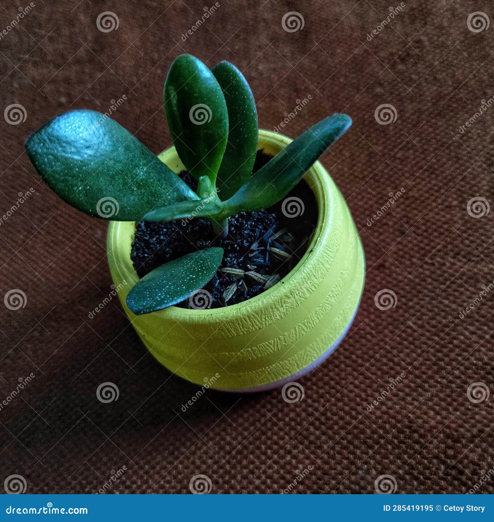 Jade Small Gravel Texture Background Stock Photography | CartoonDealer ...