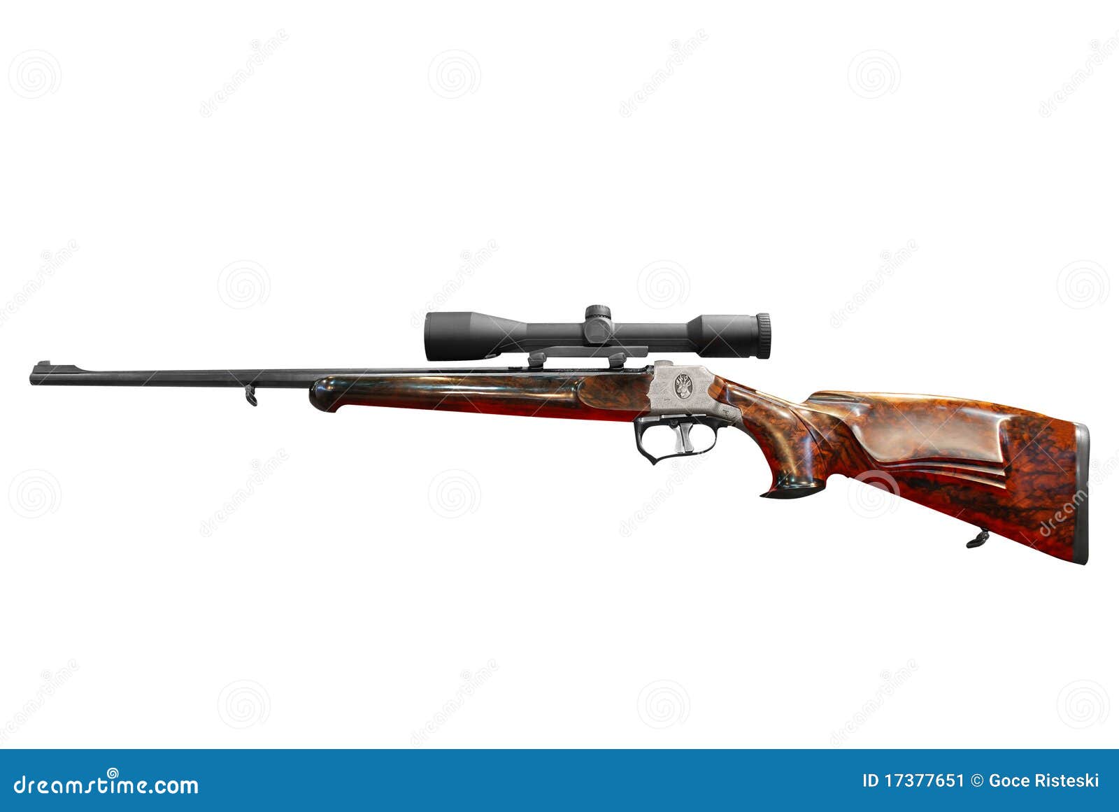 Jagdgewehr Mit Dem Bereich Getrennt Stockbild - Bild von bereich ...