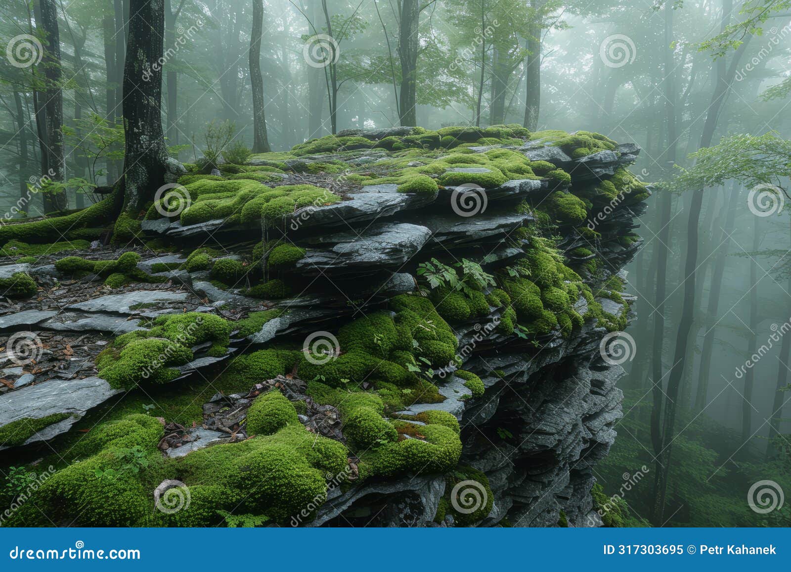 Jagged Mountain Rock Formations Covered with Moss, in a Misty Forest ...