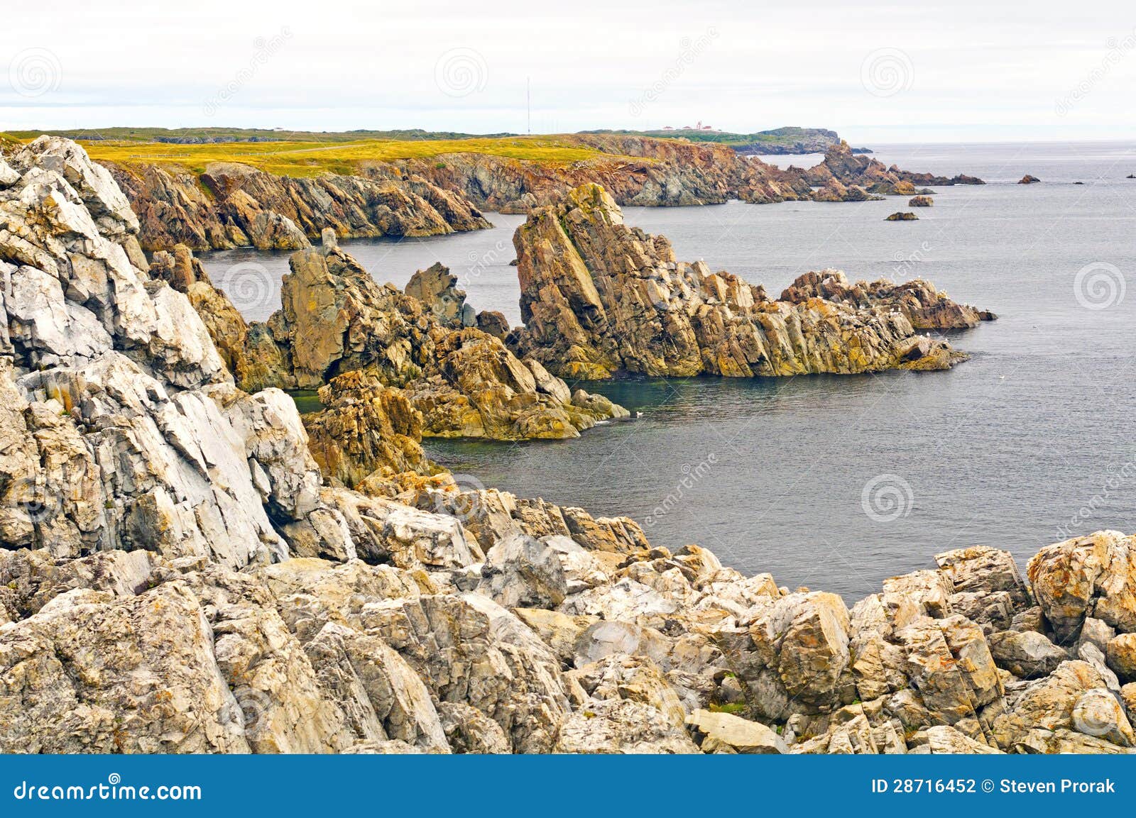 Jagged Rocks on the Newfoundland Coast Stock Photo - Image of coast ...