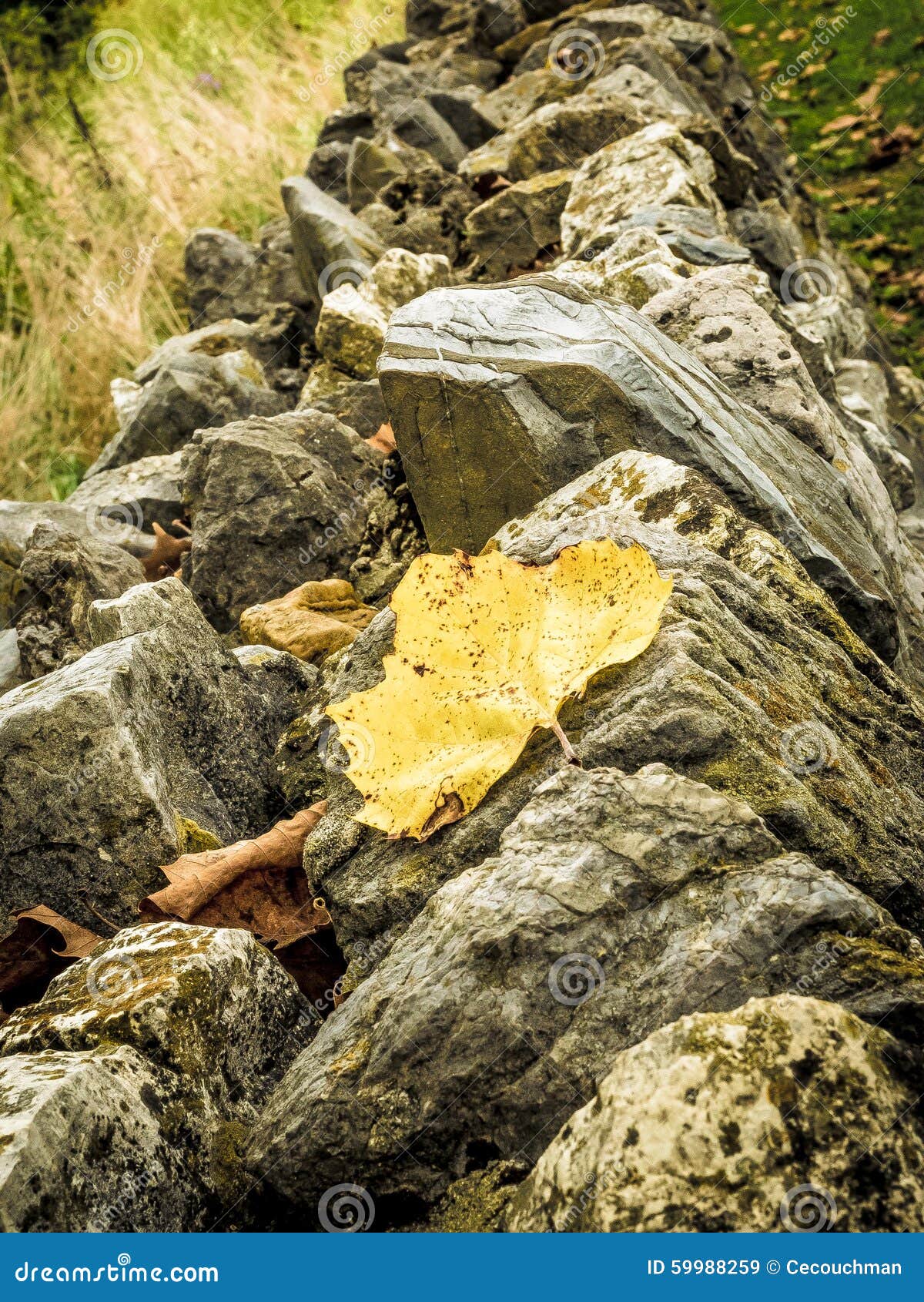 Jagged Stone Tile Texture Royalty-Free Stock Photography ...