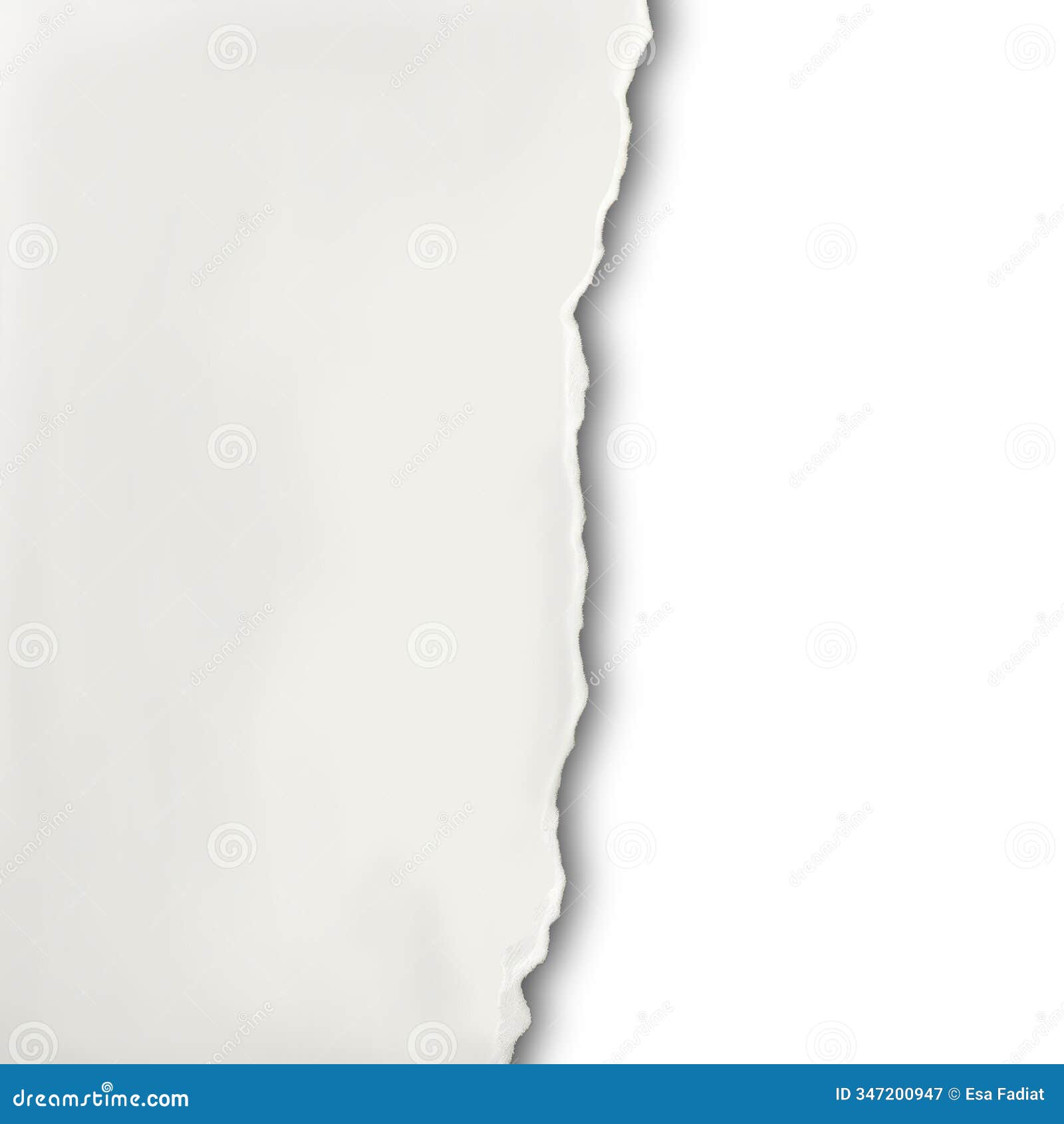 Jagged Torn Paper on White Background Stock Illustration - Illustration ...