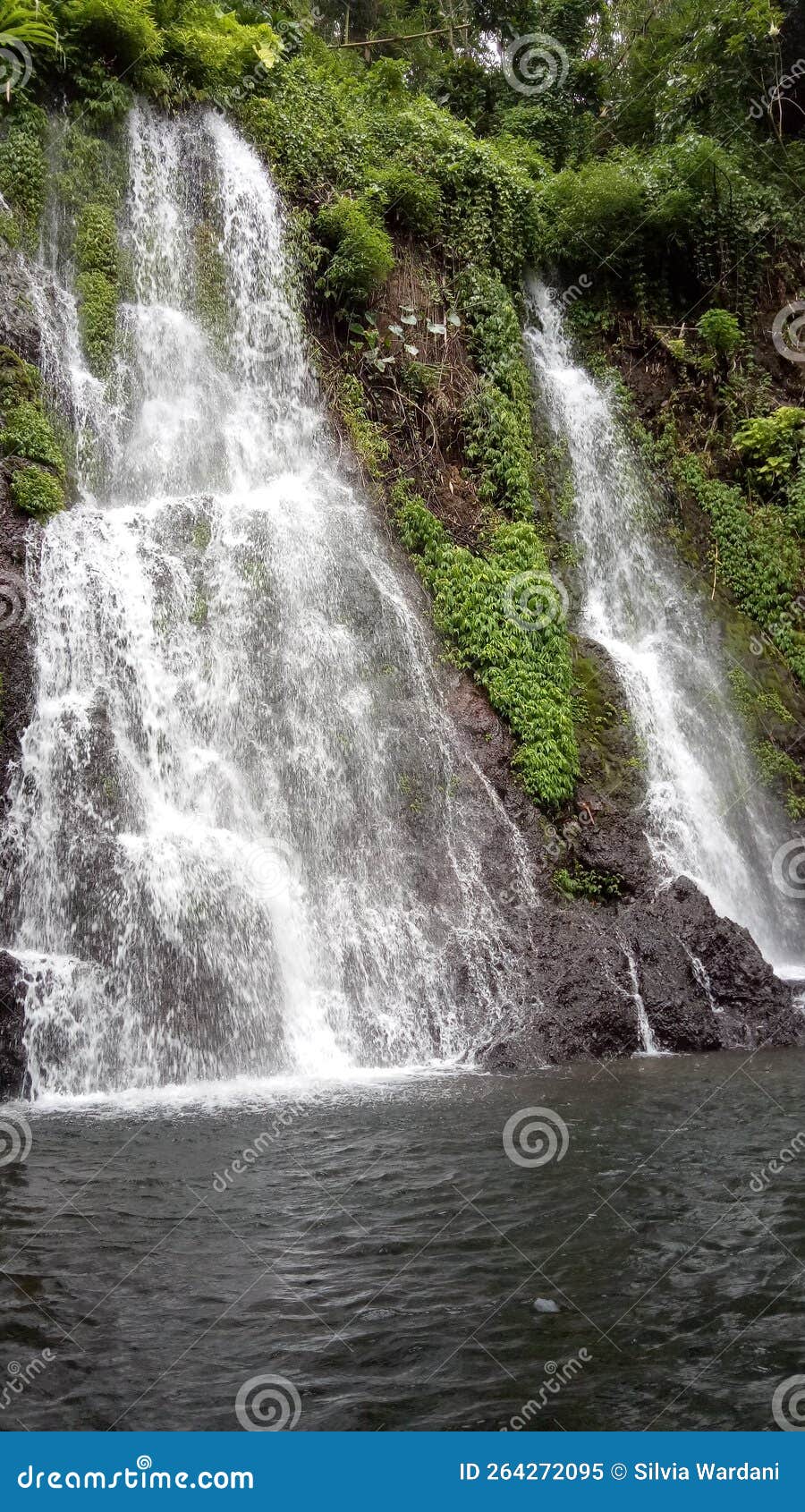 Jagir waterfall stock image. Image of stream, creek - 264272095