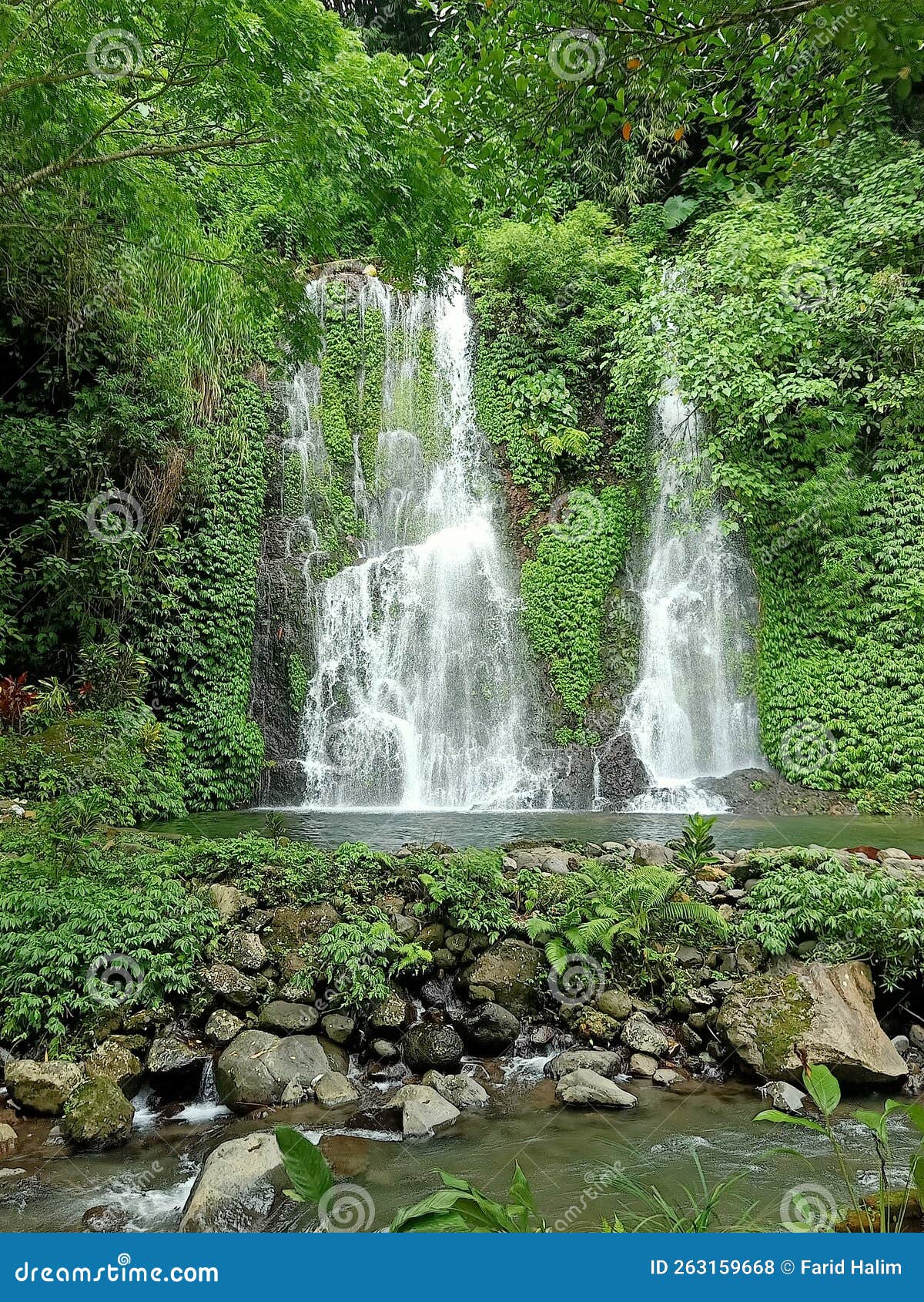 Jagir Waterfall Banyuwangi Indonesia Stock Photo - Image of forest ...