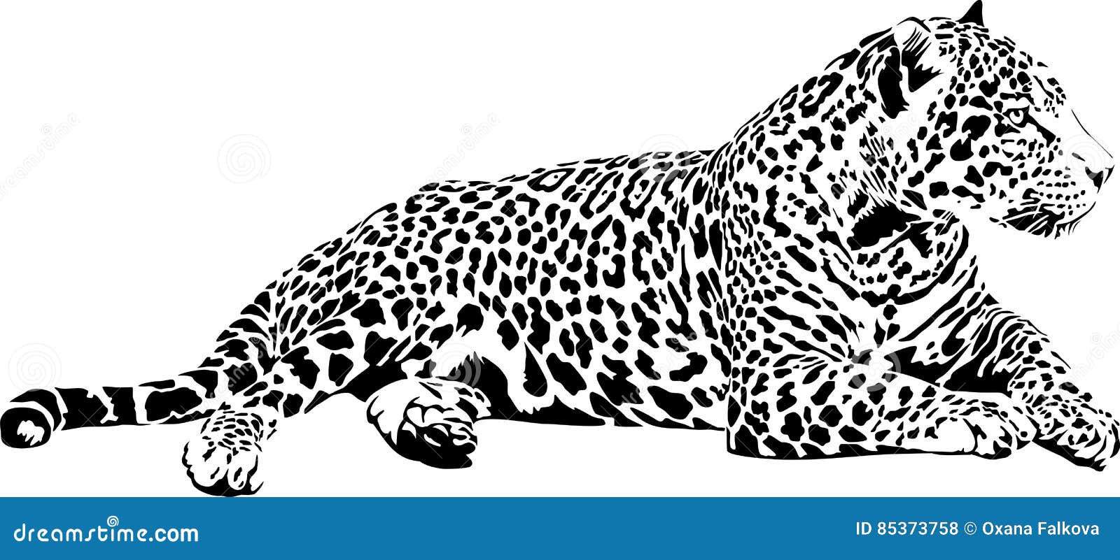 Jaguar ilustración del vector. Ilustración de animal - 85373758