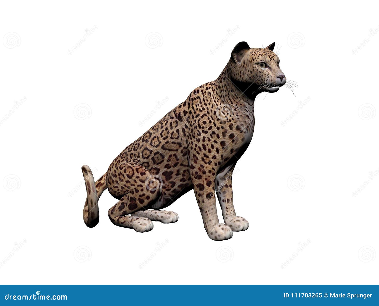 Jaguar Animal Front View, Isolated on White, Shadow - 3d Rendering ...
