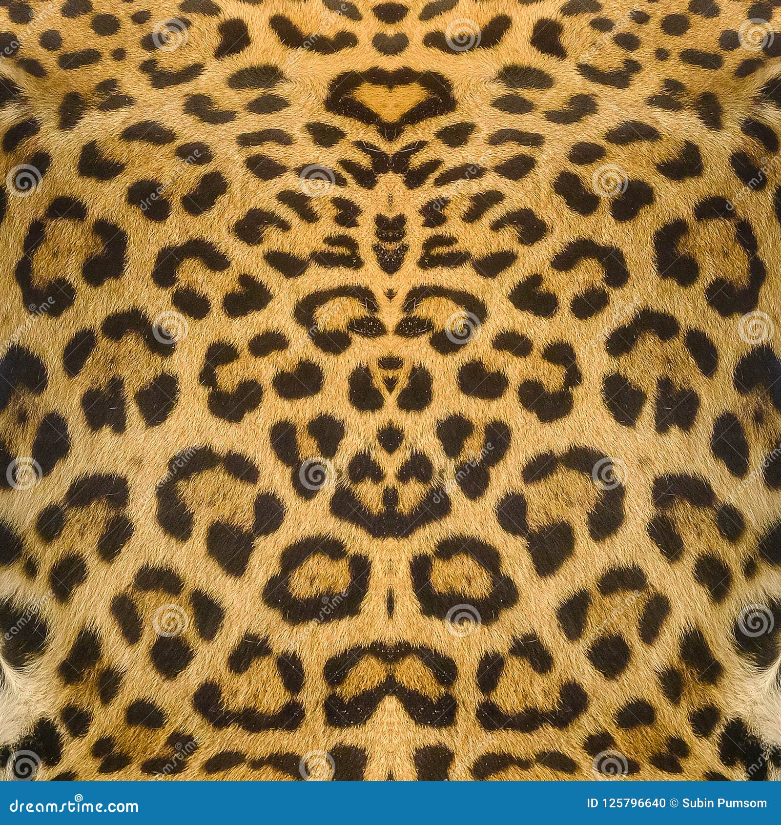 Ocelot Fur Texture Royalty-Free Stock Photography | CartoonDealer.com ...