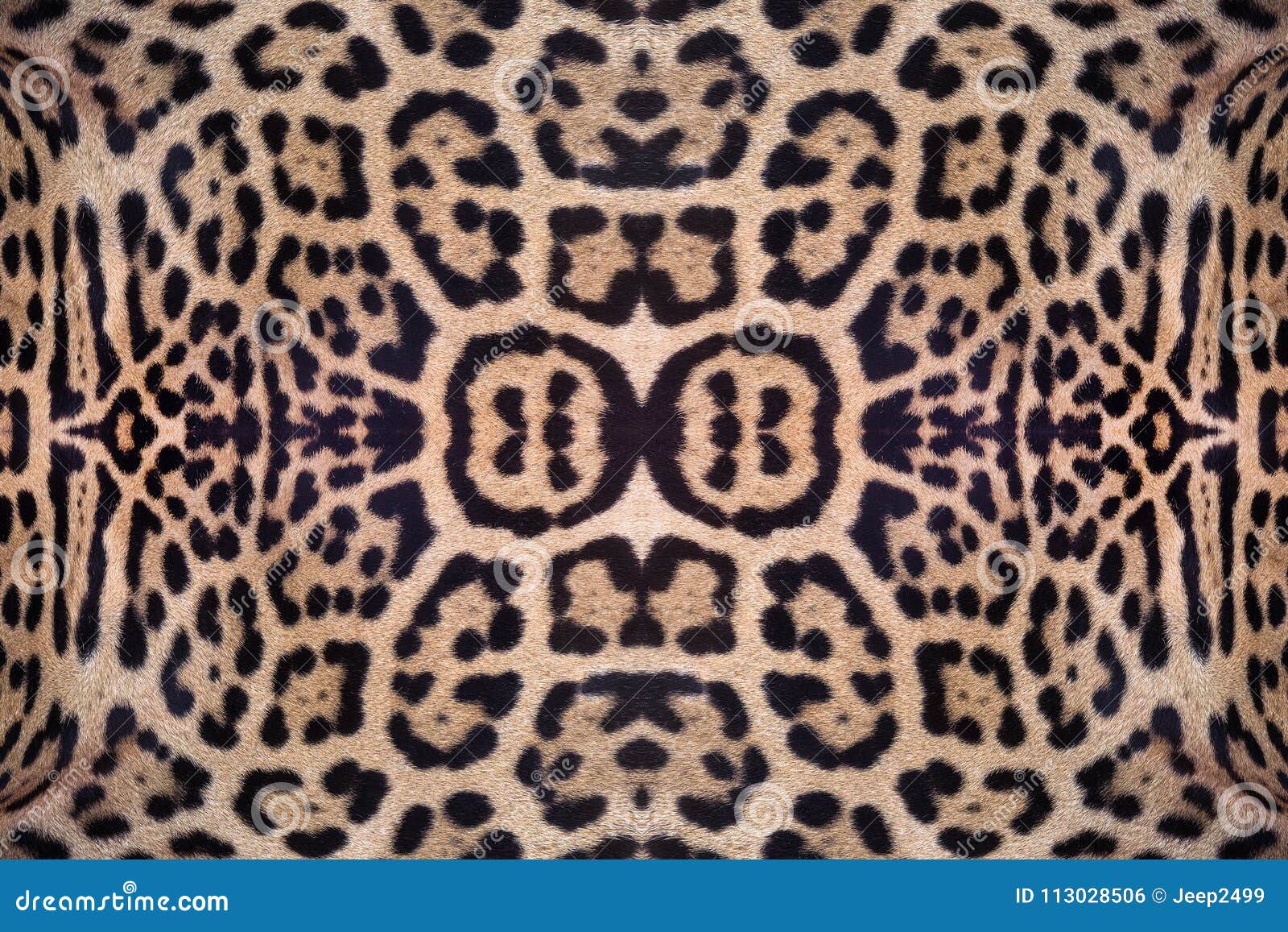 Jaguar skin pattern. stock photo. Image of texture, safari - 113028506