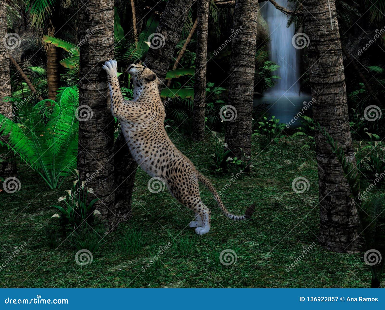 Jaguar Streching On A Tree Stock Image | CartoonDealer.com #136922857