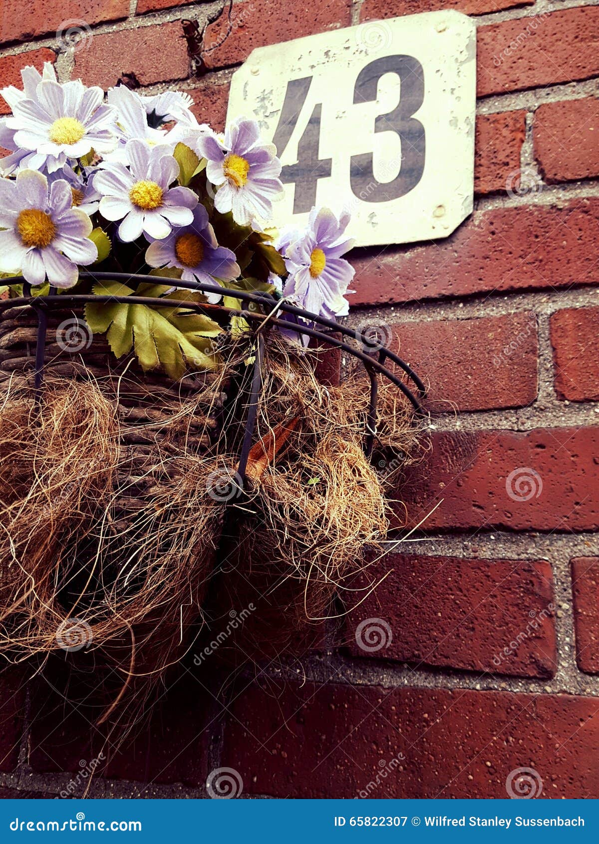 43 Jahre alt stockbild. Bild von jung, ziegelsteine, wand - 65822307