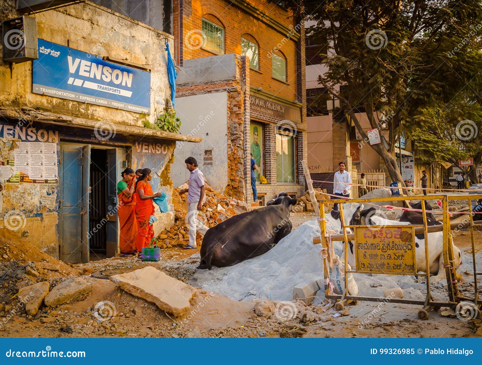 JAIPUR, INDIA - AUGUST 25 2017: a Group of Stray Cows Sitting in the ...