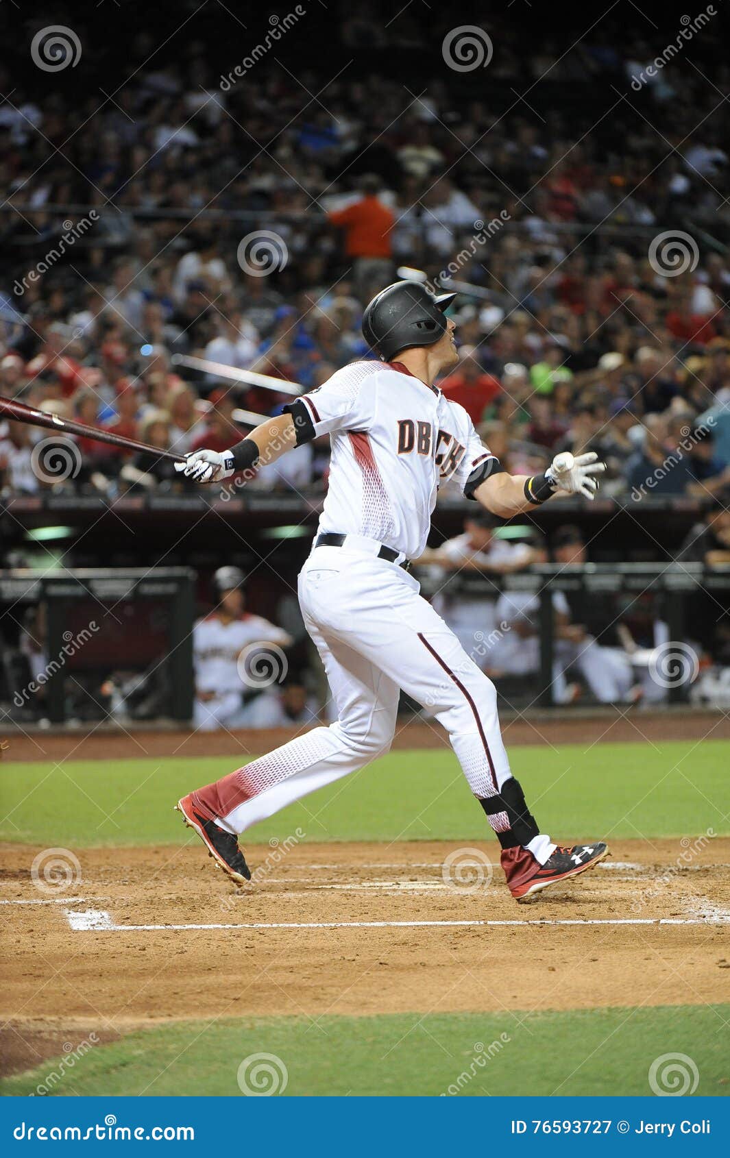 Jake Lamb fotografía editorial. Imagen de cordero, arizona - 76593727