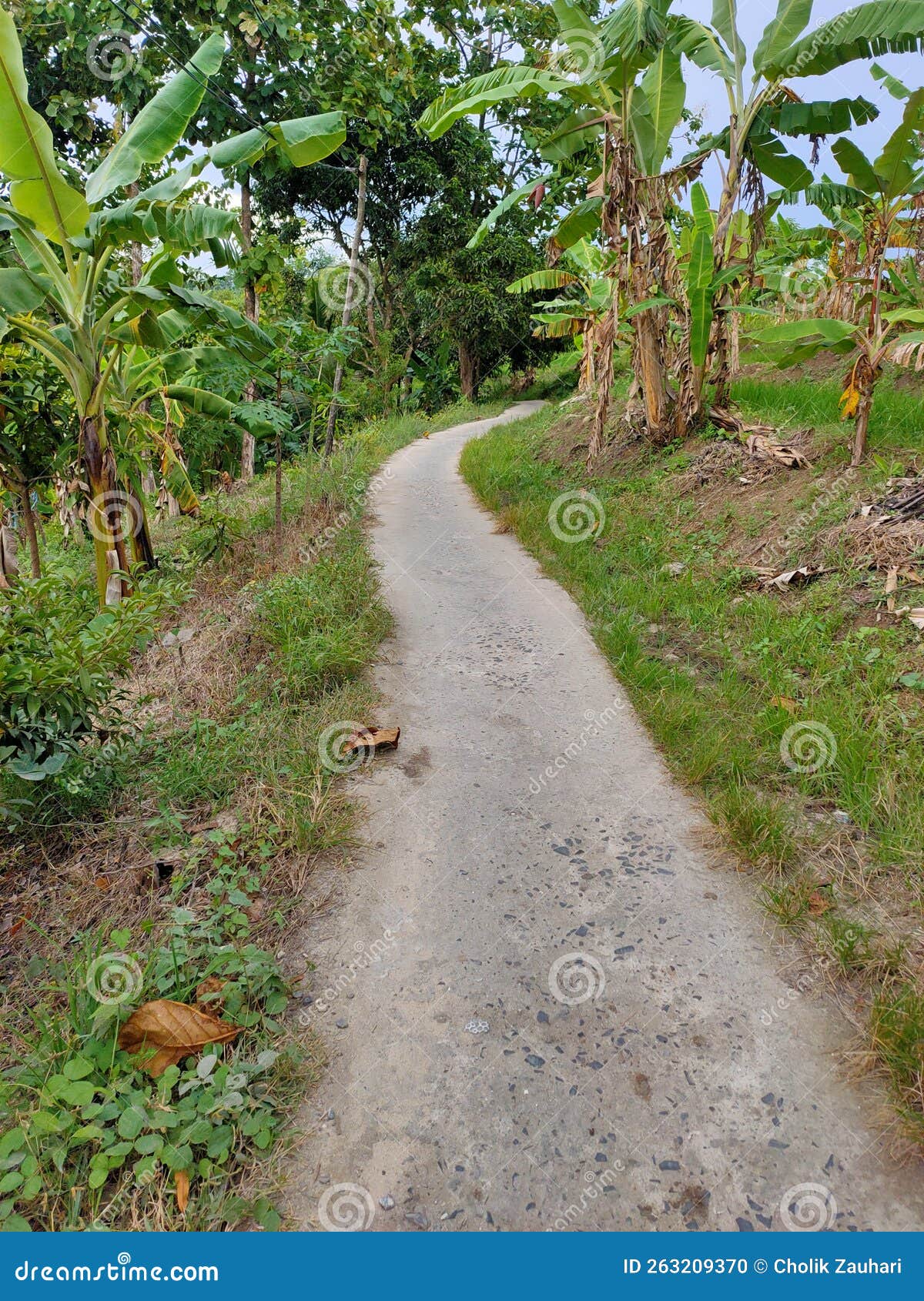 Jalan Setapak Lagoon Pari Beach Stock Photo - Image of jalan, beach ...