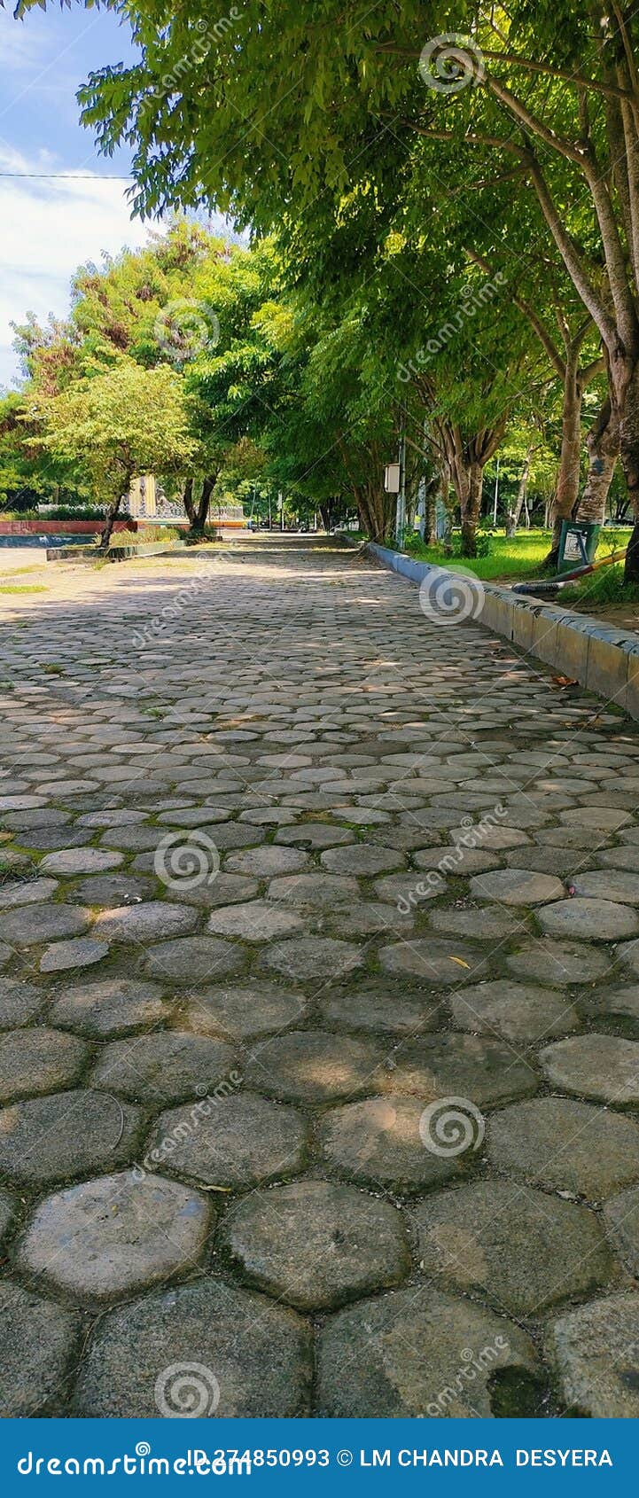 Jalan Taman Uses Paving Blocks and Trees that are Neatly Arranged Stock ...