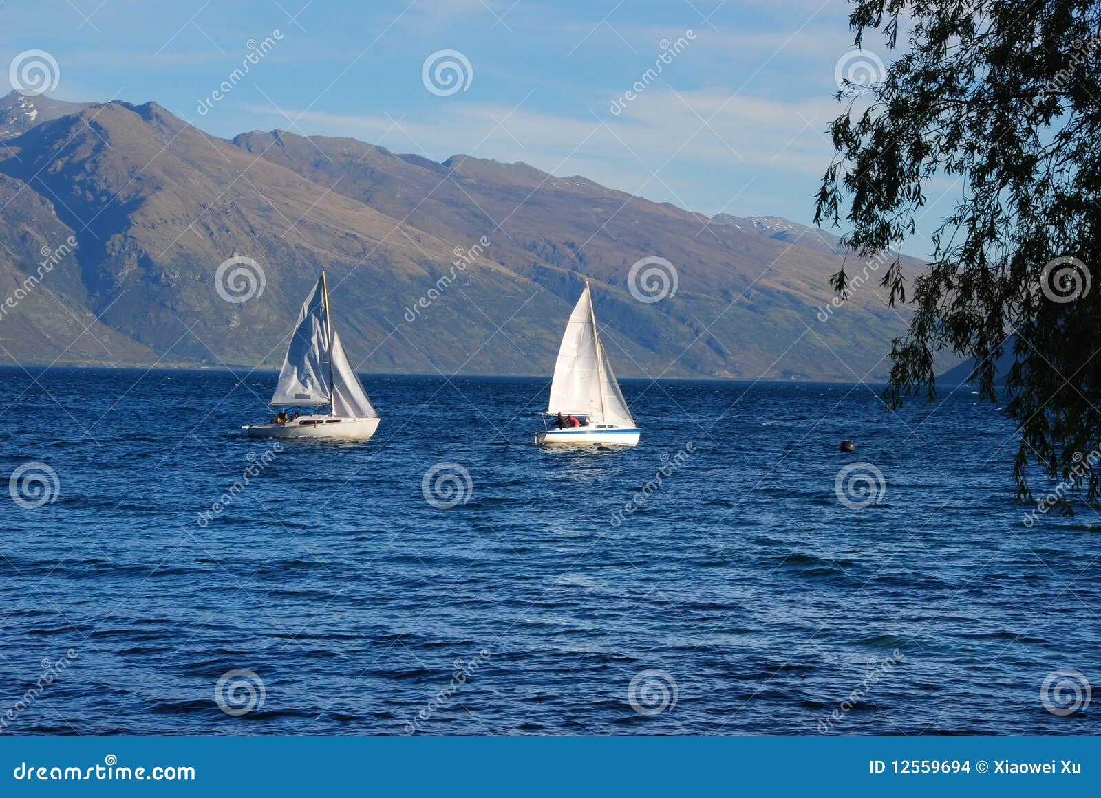 Jalor in the lake stock photo. Image of water, mountain - 12559694