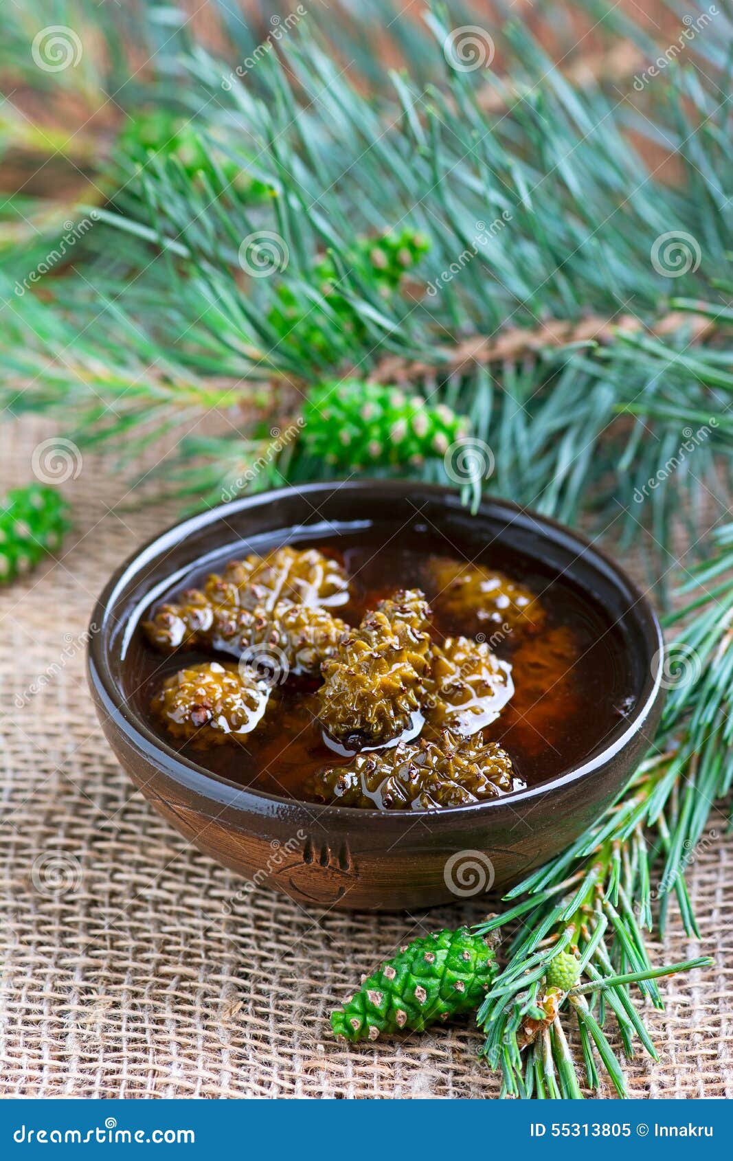 Jam from pine cones stock image. Image of immunity, cone - 55313805