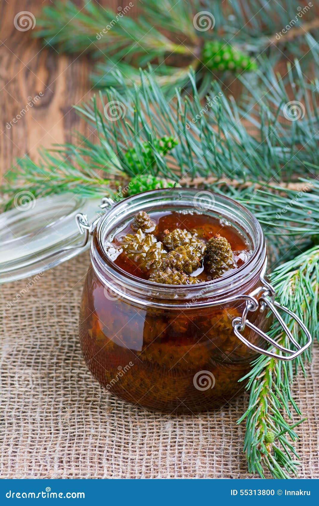 Jam from pine cones stock photo. Image of medicine, closeup - 55313800