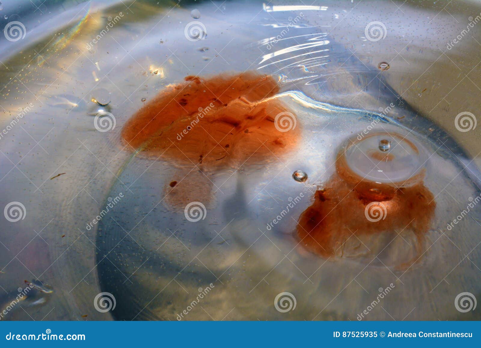 Jam splash stock image. Image of drops, healthy, fresh - 87525935