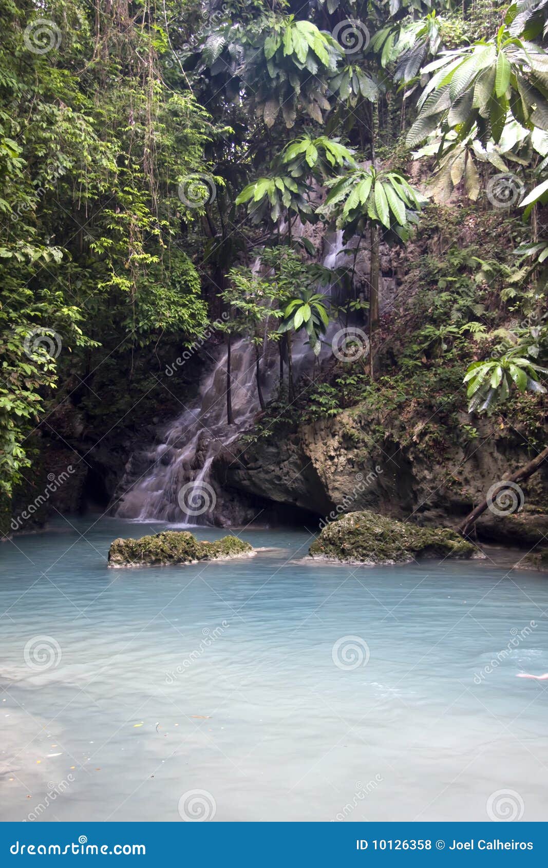 Jamaica river stock photo. Image of hills, rainfall, rainforest - 10126358