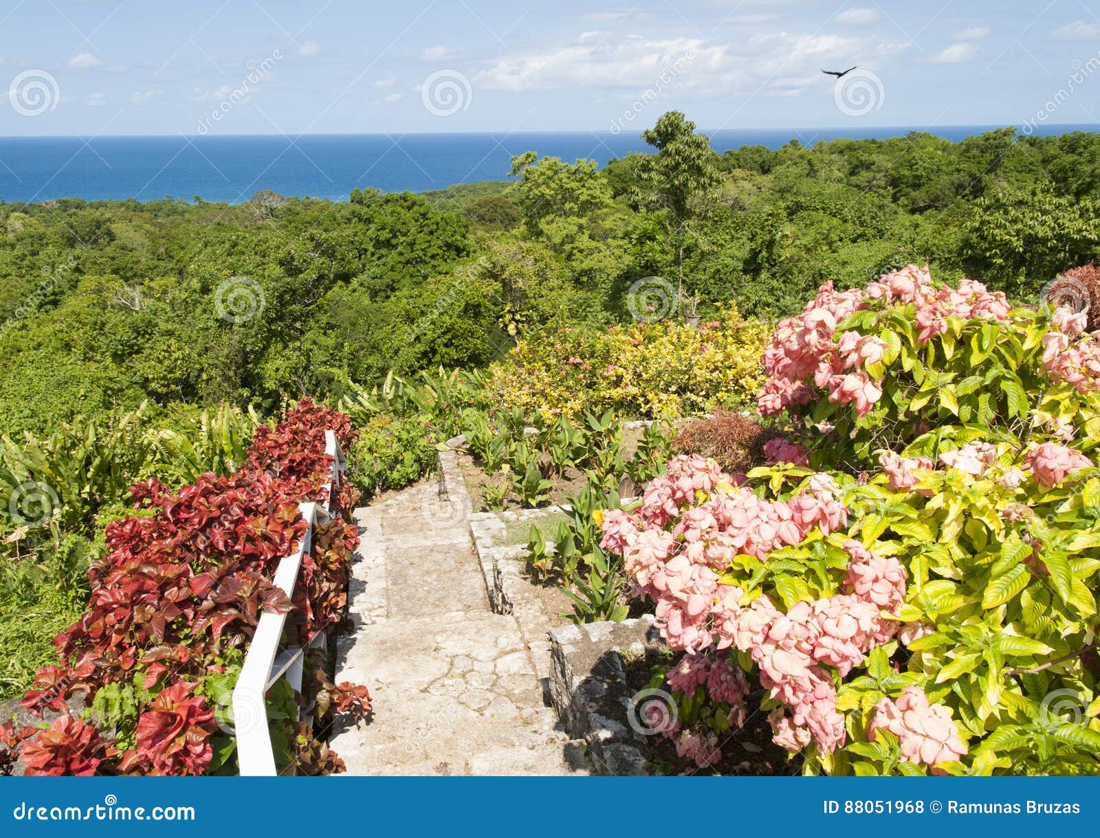 Jamaica`s Garden Path stock photo. Image of scenic, path - 88051968