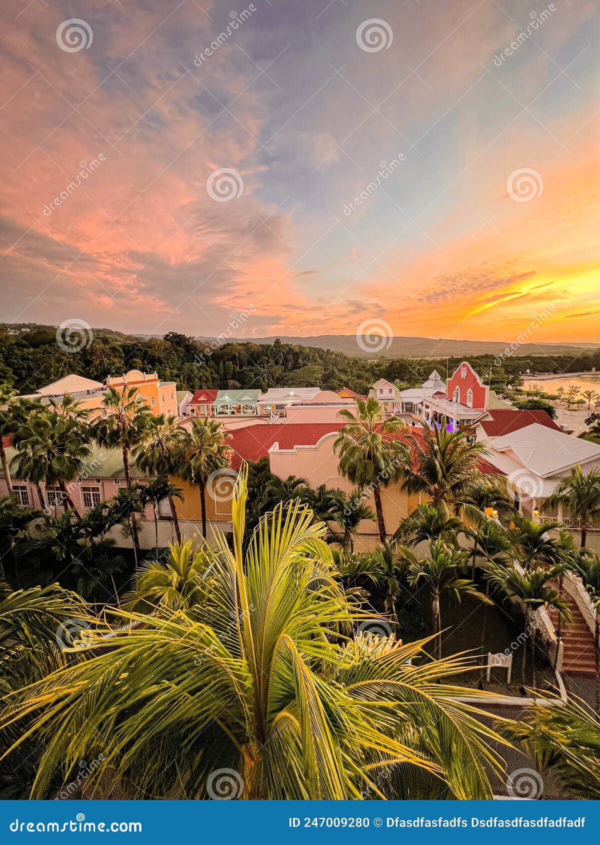 Jamaica Sunset while Traveling Stock Photo - Image of horizon, tree ...
