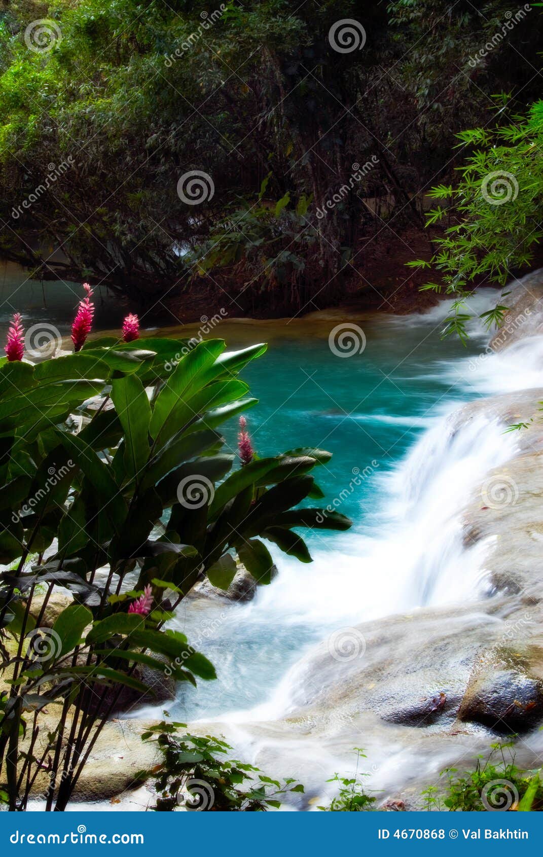 Jamaica waterfalls stock photo. Image of rainforest, paradise - 4670868