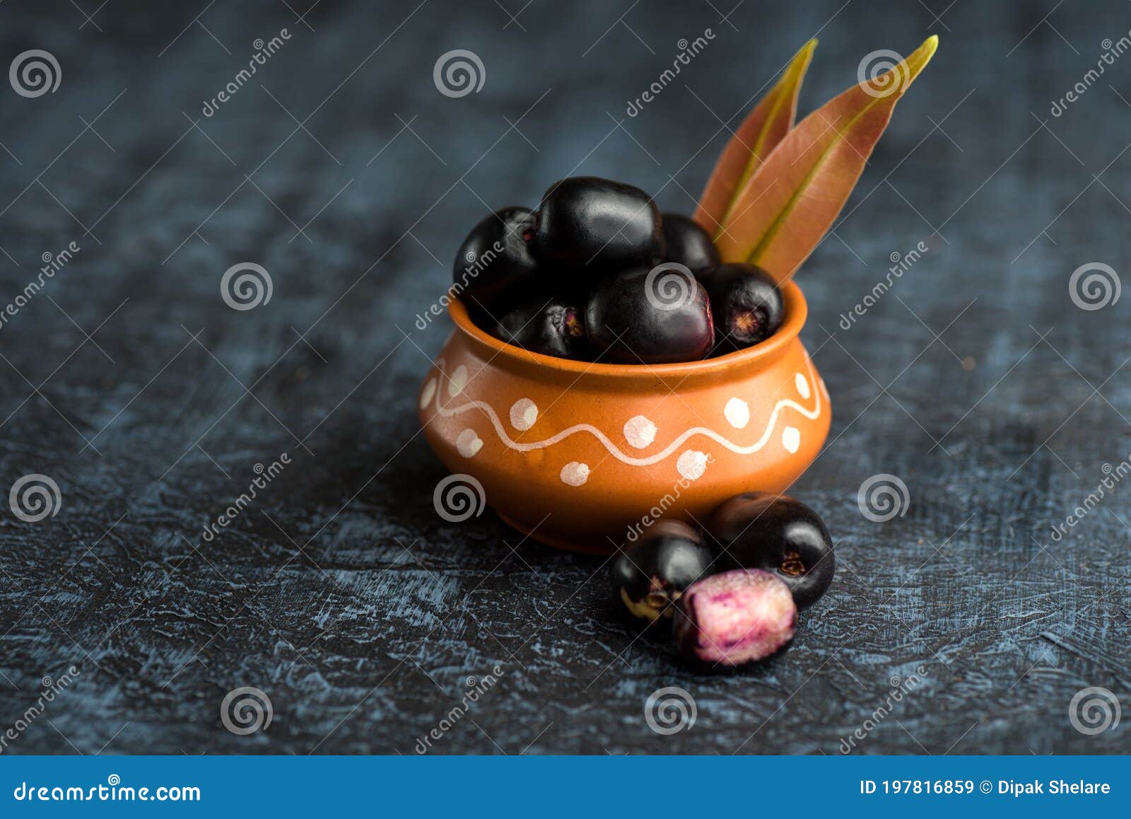 Jambul Or Jamun (Syzygium Cumini) Stock Photography | CartoonDealer.com ...