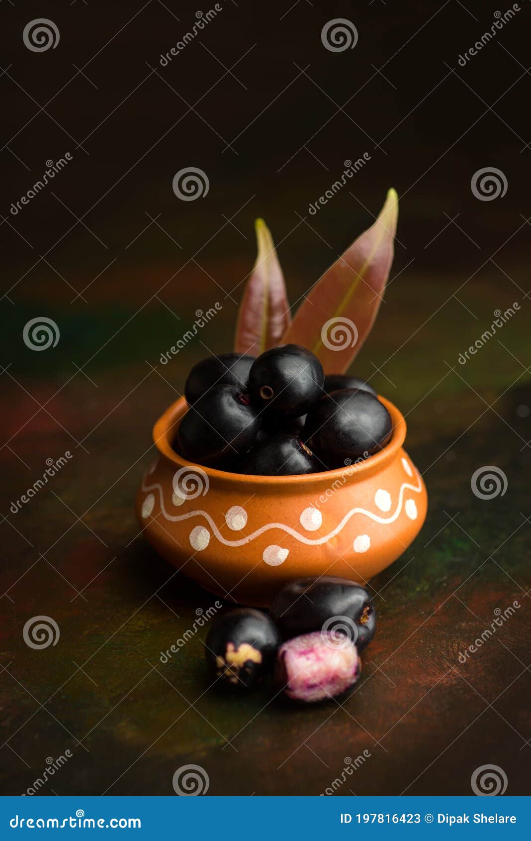 Jambolan Plum or Jambul or Jamun Fruit, Java Plum Syzygium Cumini on ...