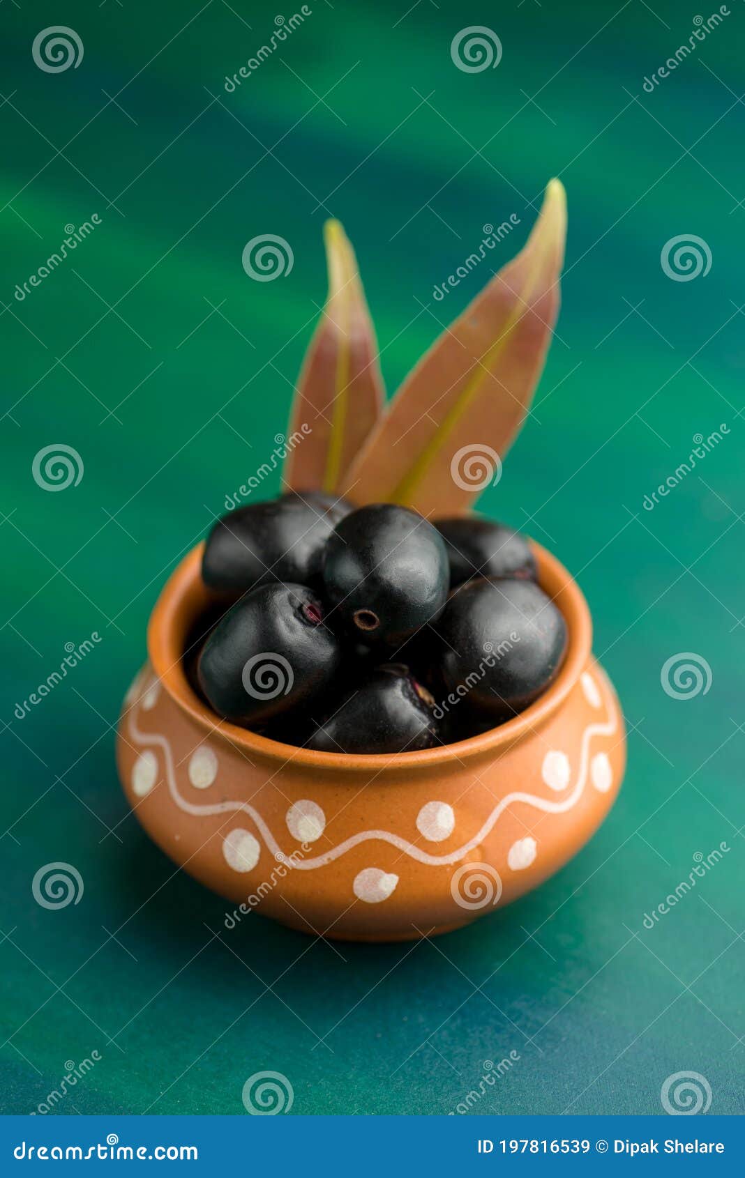 Jambolan Plum or Jambul or Jamun Fruit, Java Plum Syzygium Cumini on ...
