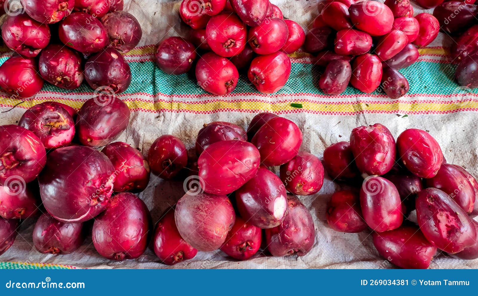 Jambu Air is Sold in Traditional Markets Stock Image - Image of produce ...