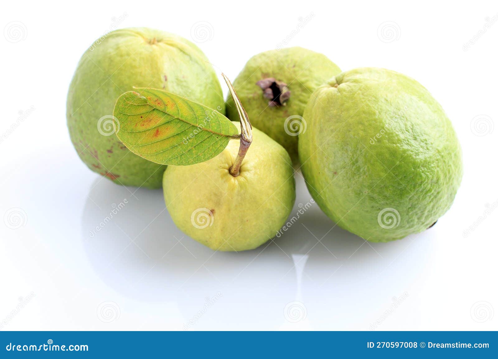 Jambu Biji or Guava Isolated on White Stock Photo - Image of freshness ...