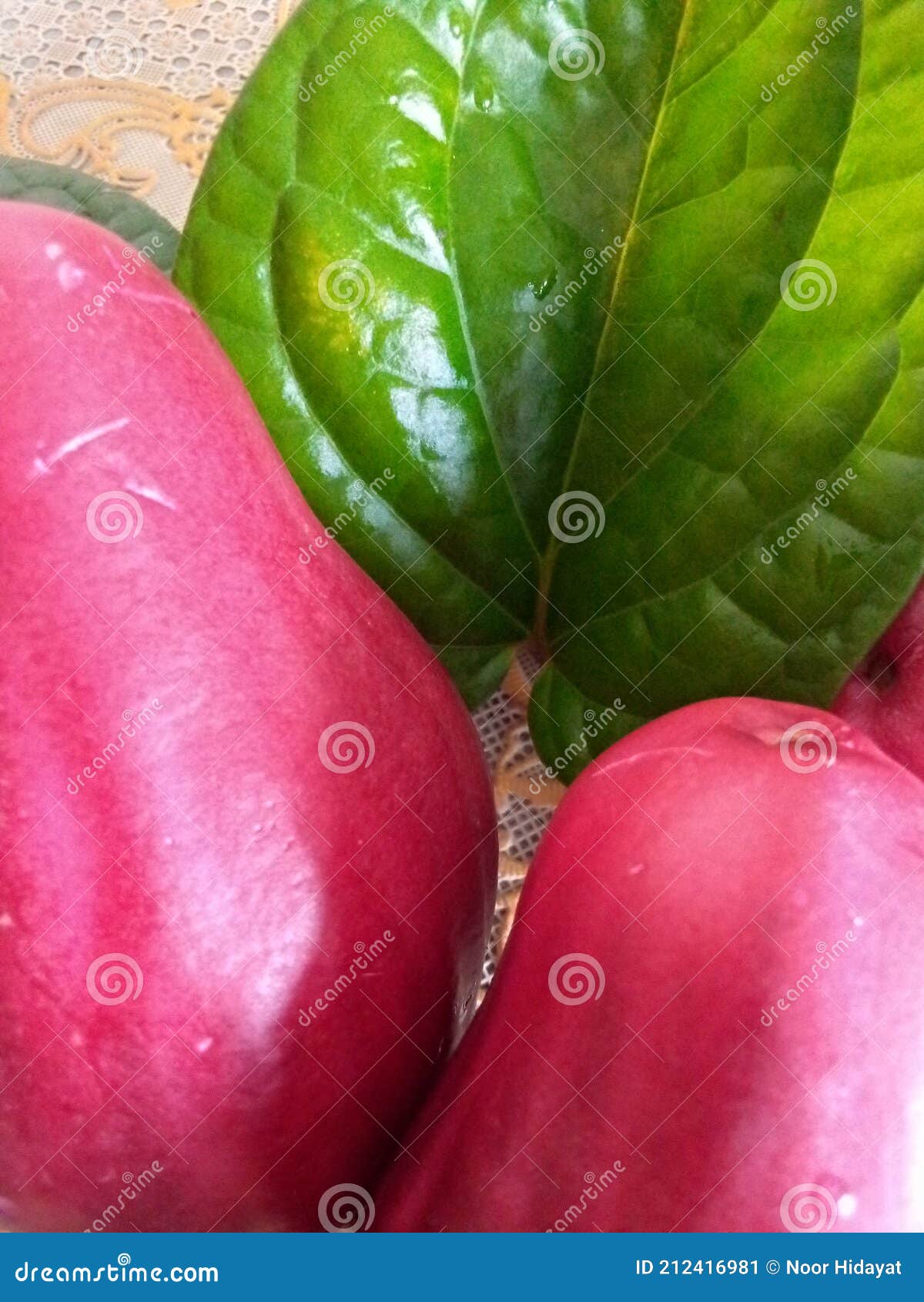 Jambu jamaika stock image. Image of dish, petal, herb - 212416981