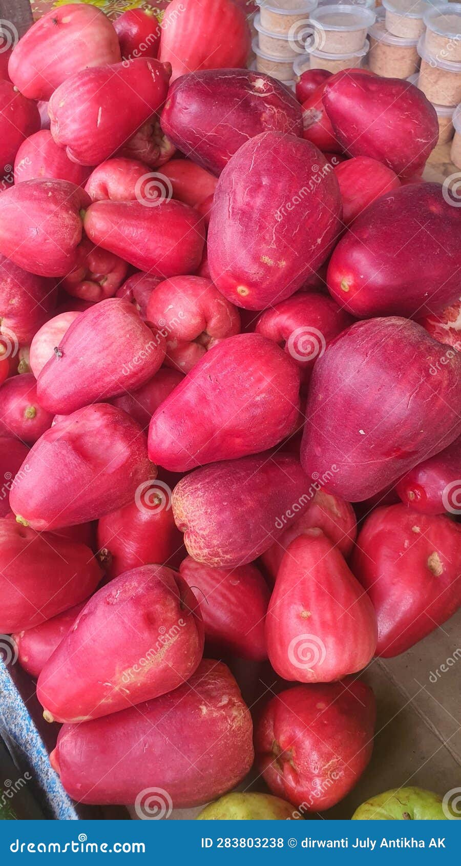 Jambu Merah Indonesia (guava) Stock Photo - Image of guava, merah ...