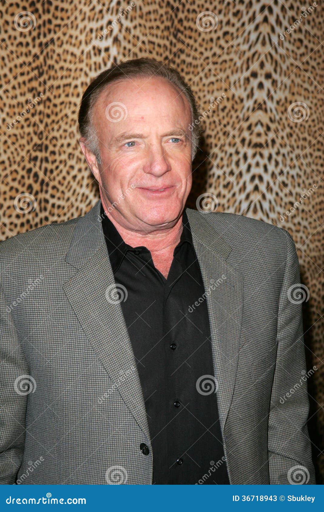 James Caan photo stock éditorial. Image du james, mémoire - 36718943