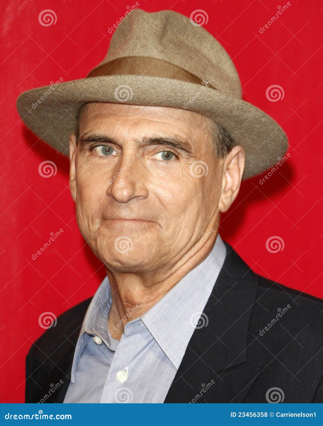 James Taylor photo stock éditorial. Image du honorer - 23456358