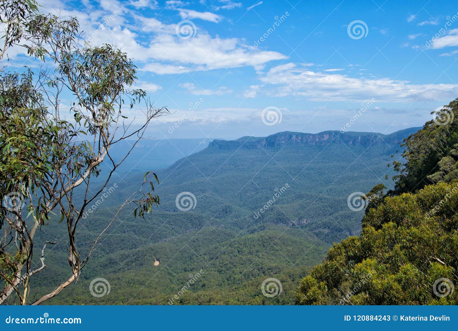 Jamison Valley in Blue Mountains Stock Image - Image of mountains ...