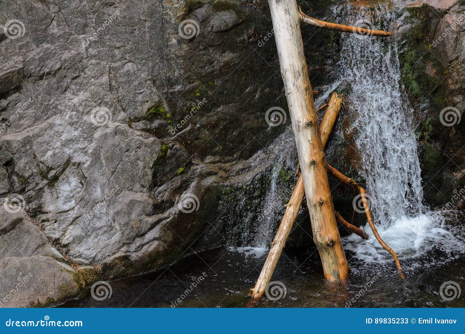 Jammed Tree Logs into Small Mountain River Stock Image - Image of ...