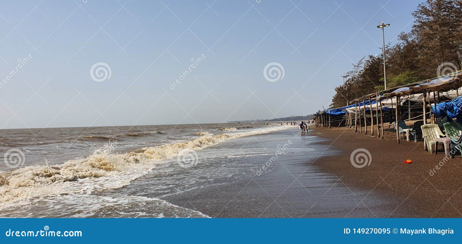 Jampore Beach, Daman, Gujarat, India Stock Image - Image of animal ...