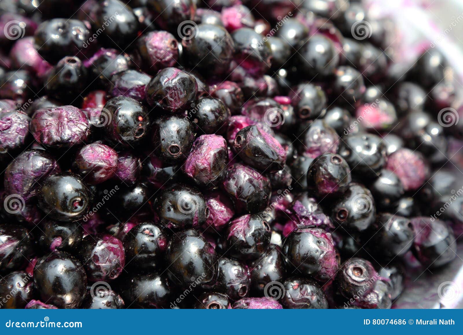 Jamun Fruits stock photo. Image of healthy, berry, health - 80074686