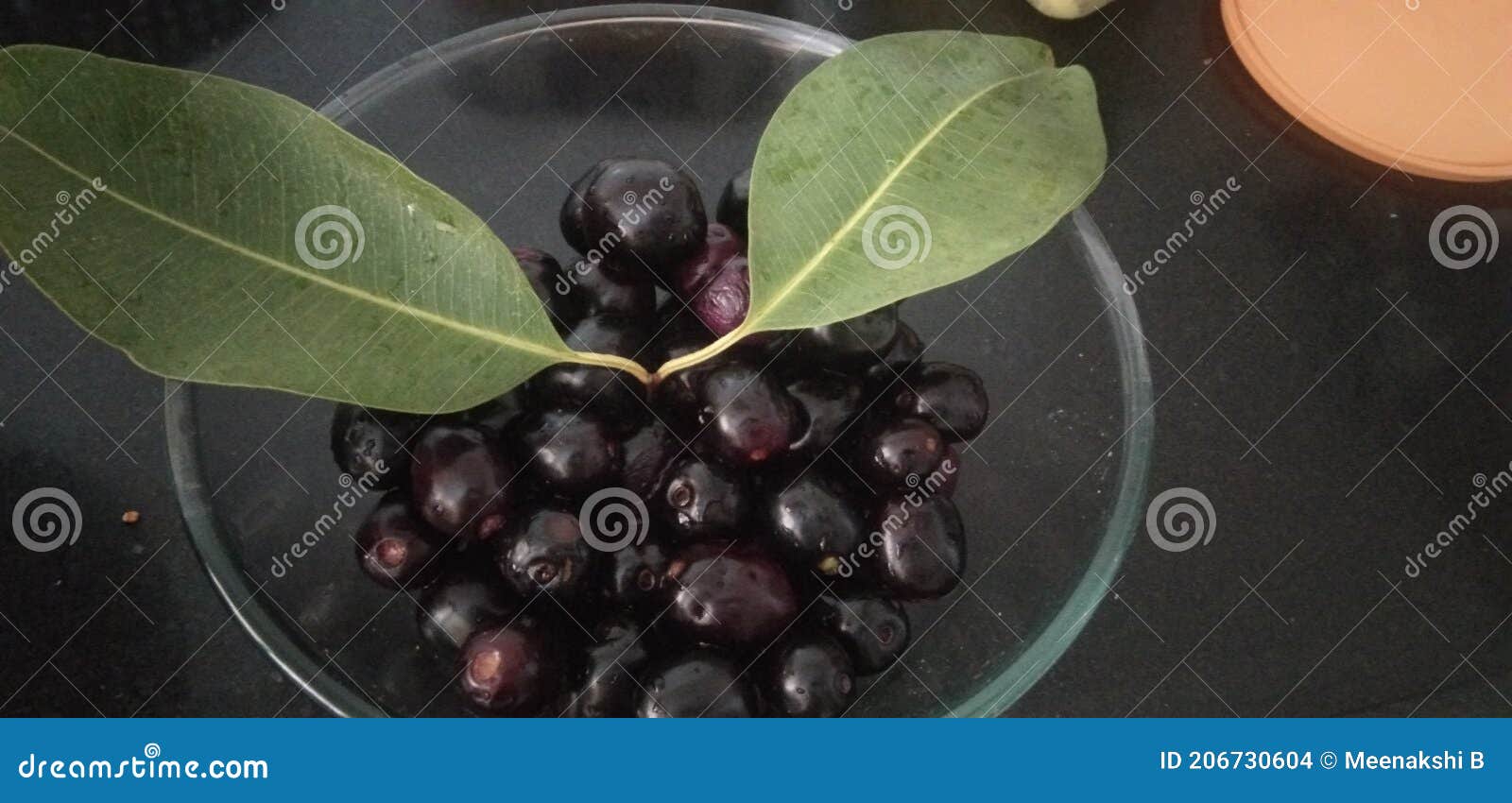 Jamun Jamun stock photo. Image of healthy, evergreen - 206730604