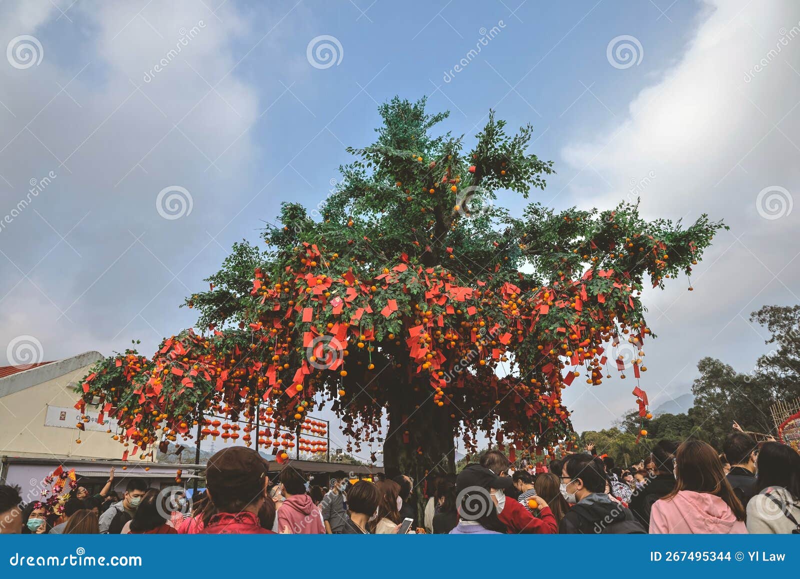 23 Jan 2023 the Lam Tsuen Wishing Trees, Tai Po, HK Editorial Stock ... 23 Jan 2023 the Lam Tsuen Wishing Trees, Tai Po, HK Editorial Stock ...
