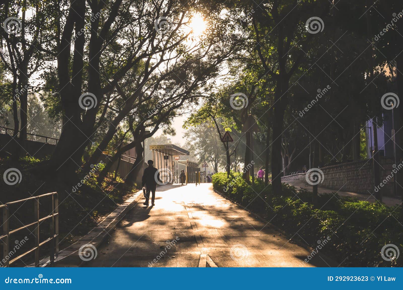 Jan 23 2015 the Sun Ray , Path at the City Editorial Stock Photo ...