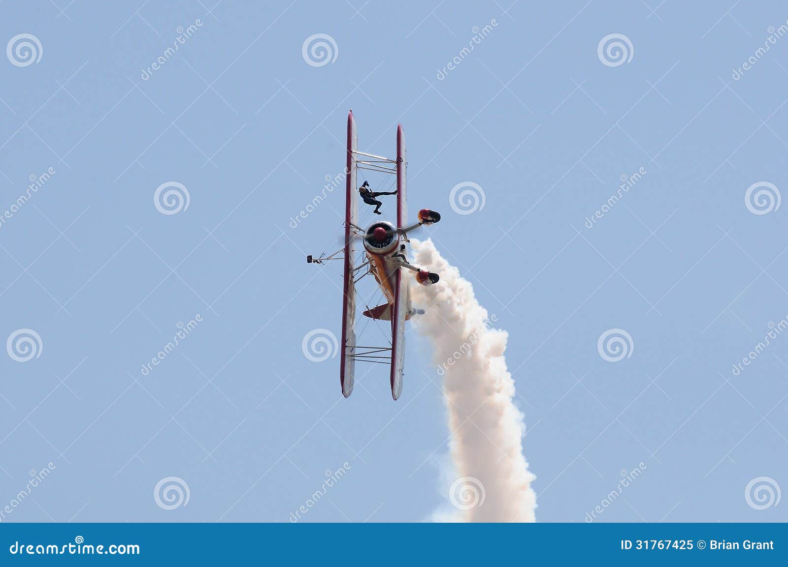 Jane Wicker Wingwalker image éditorial. Image du osier - 31767425