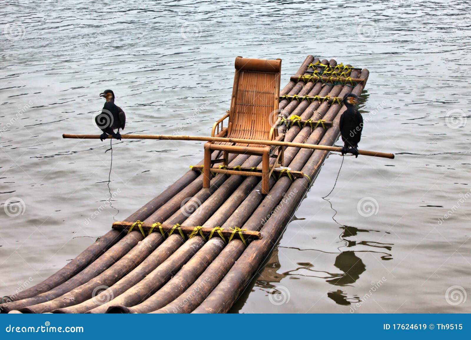 Jangada E Cormorant De Bambu Imagem De Stock Imagem De Beleza Pesca