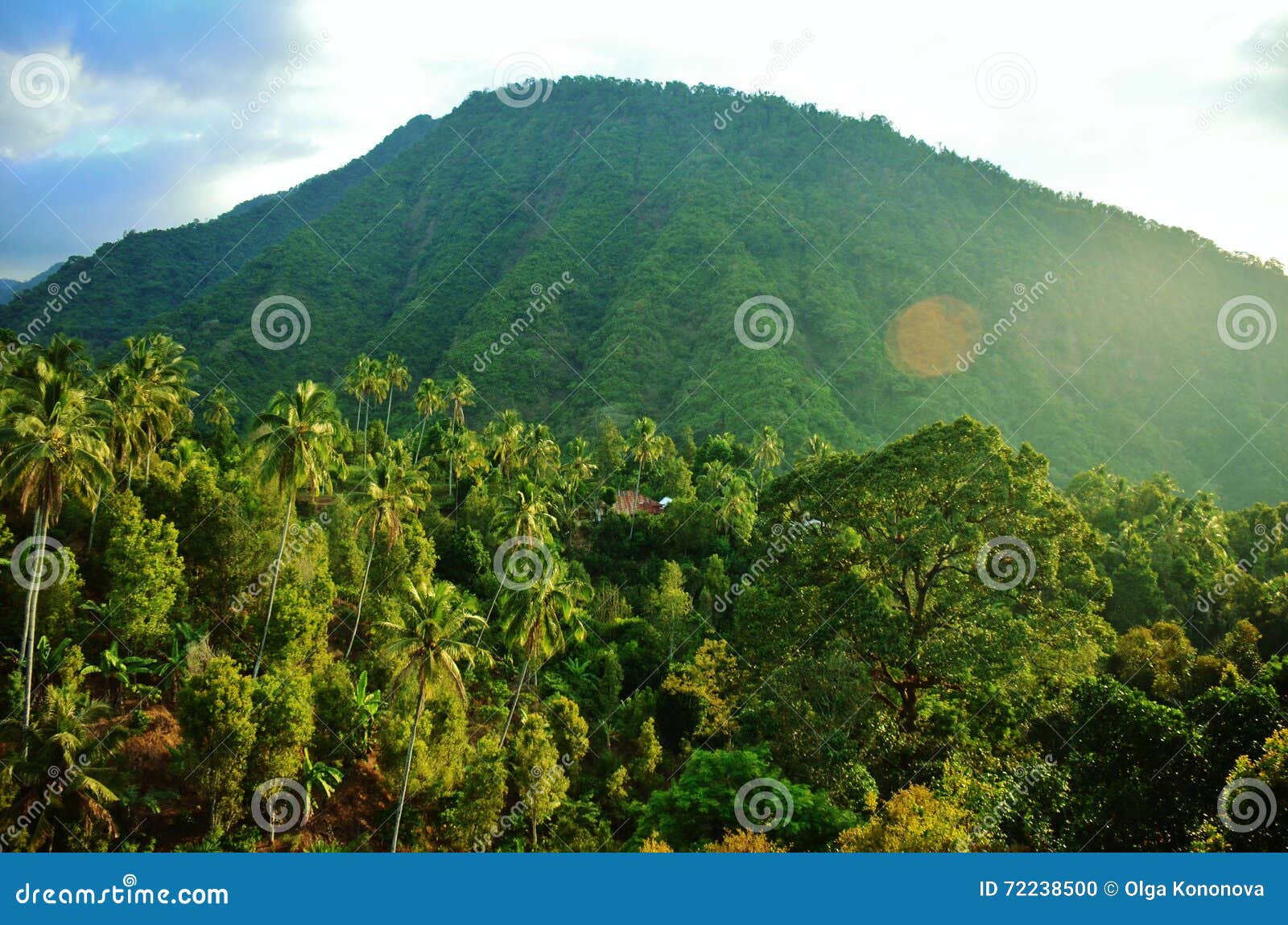 Jangle stock photo. Image of mount, beauty, outdoor, nature - 72238500