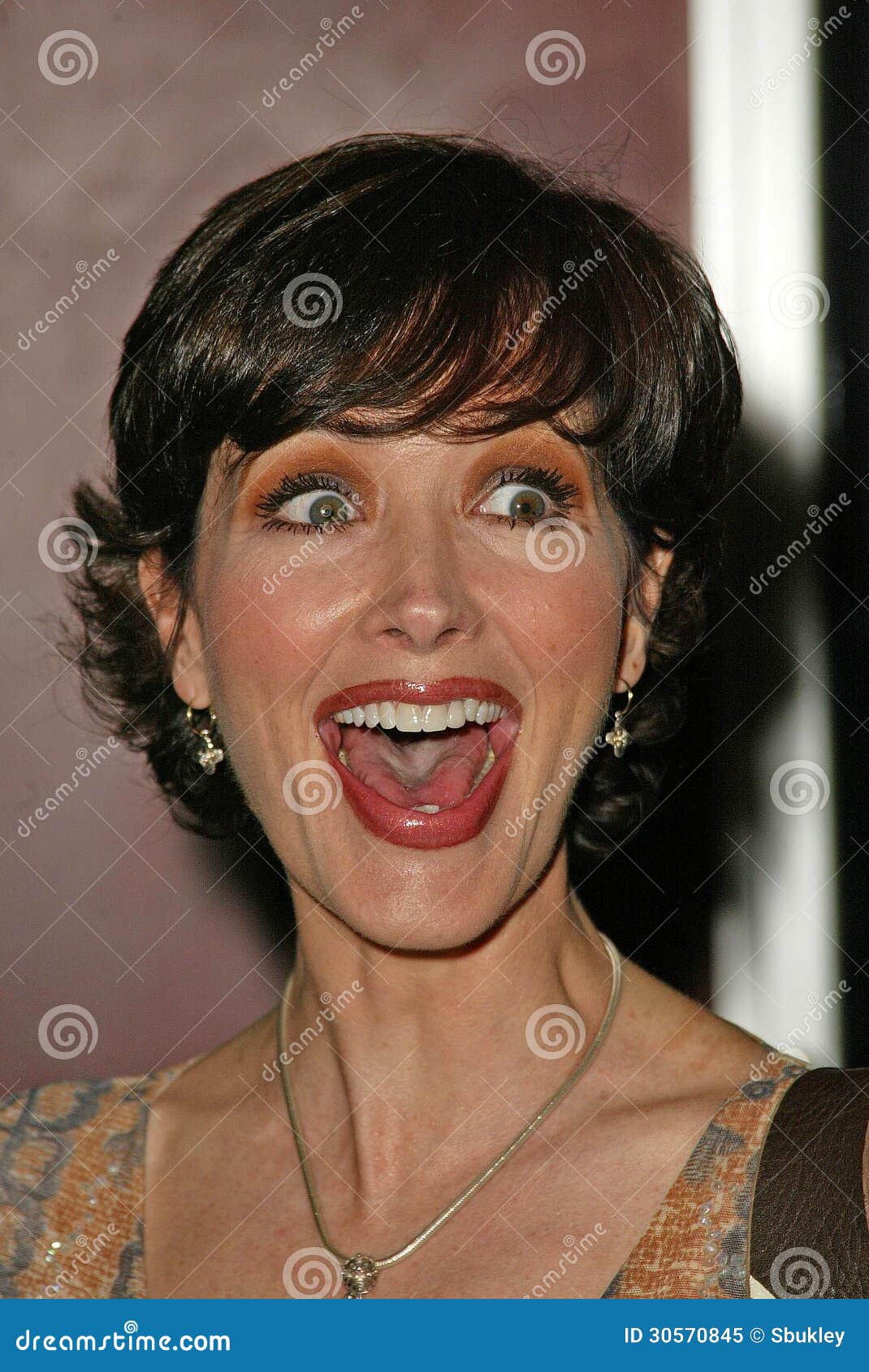 Janine Turner image éditorial. Image du janine, criblage - 30570845