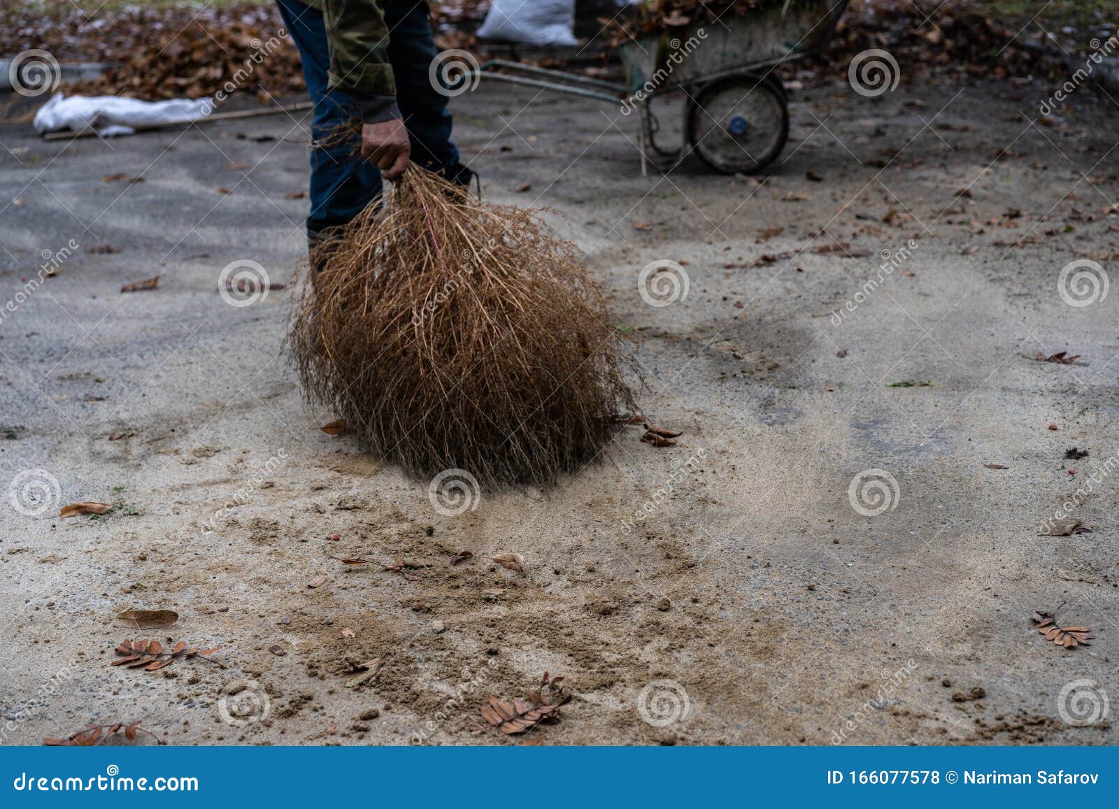 Janitor Sweeping a Broom Yard Stock Photo - Image of environment ...